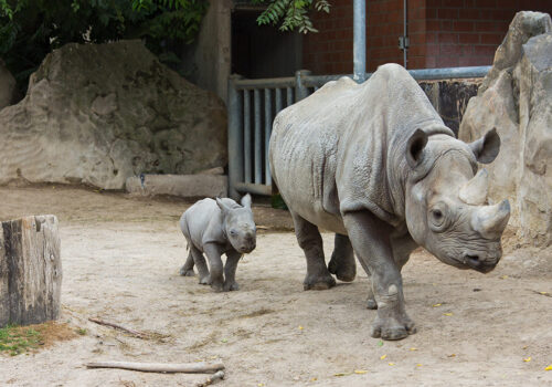 Things To Do In Kent | Kent Attractions | Kent Leisure Parks