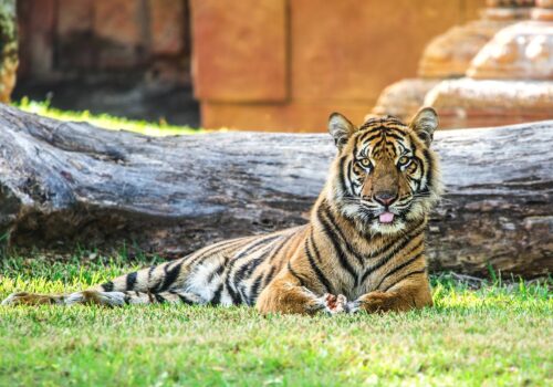 Things To Do In Kent | Kent Attractions | Kent Leisure Parks